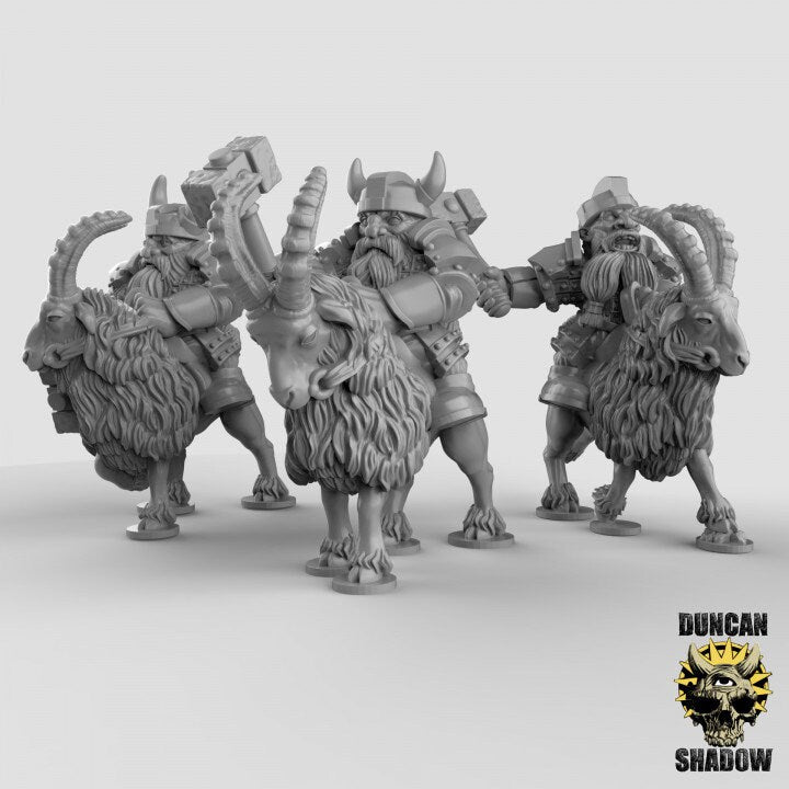 Dwarf Riders set 1 by Duncan shadows Miniatures - Ottsworkshop
